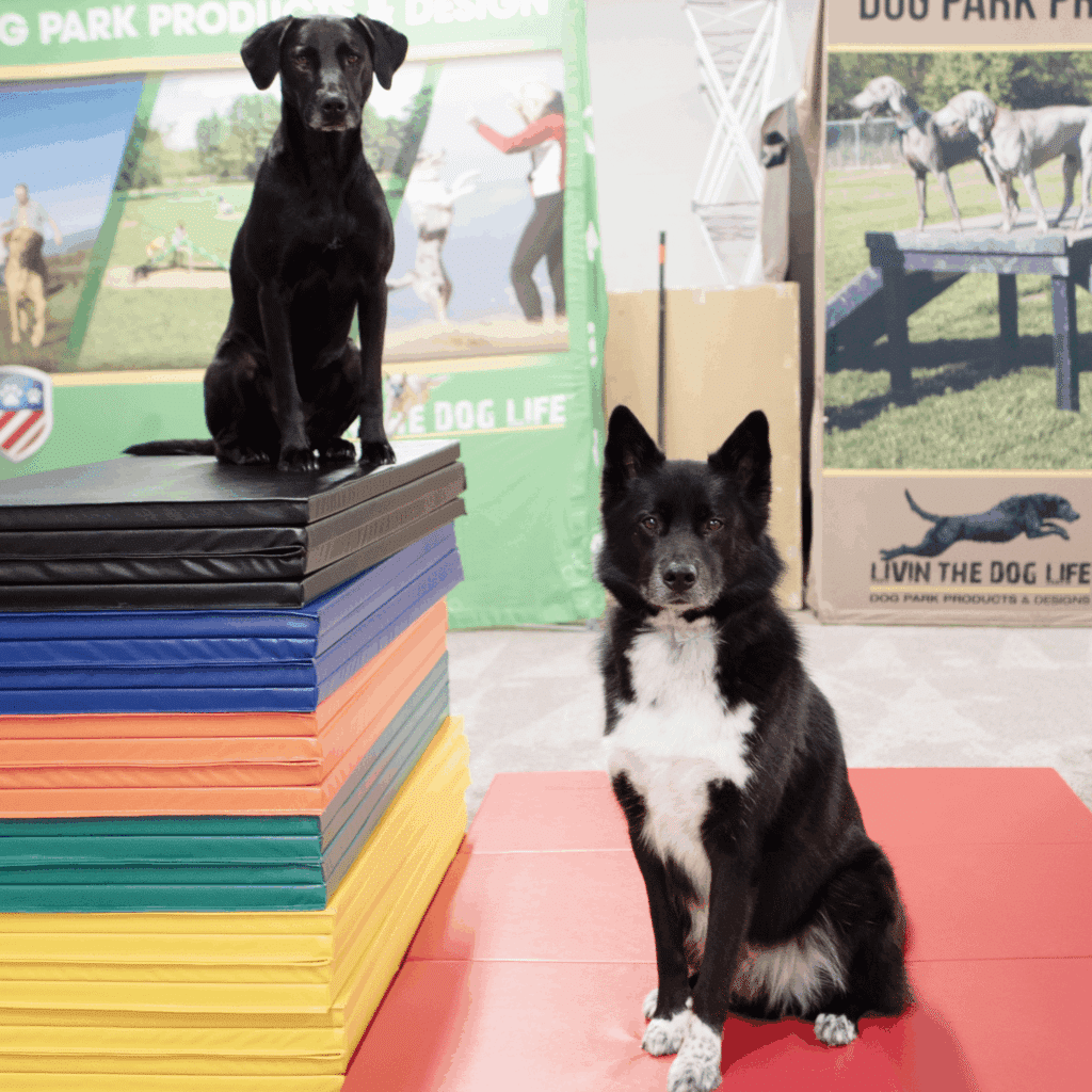 Wrestle & Rumble Play Mats - The Dog Park Company