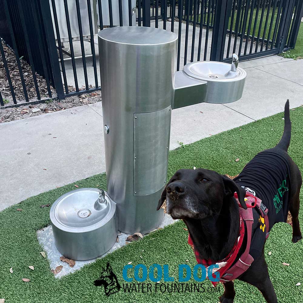 Cool Dog Water Fountain – SST – Dog Basin & ADA Basin - The Dog Park ...